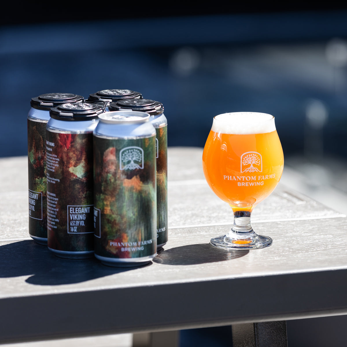 Elegant Viking 4-Pack – Phantom Farms Brewing